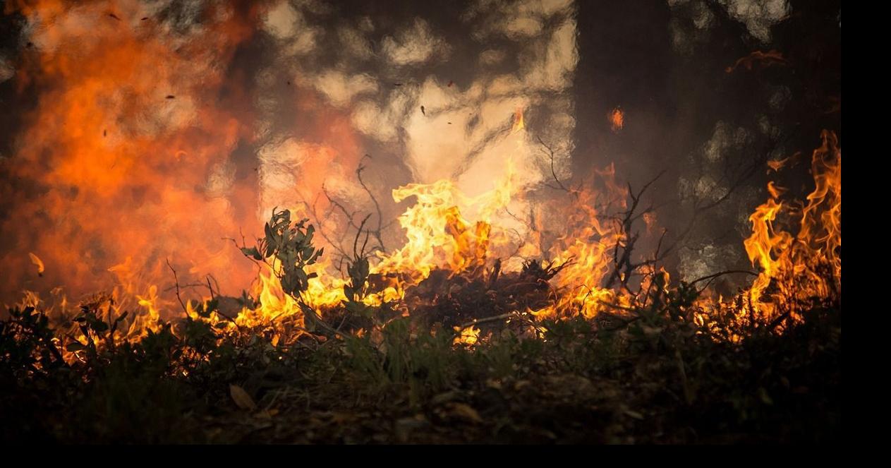 Evacuations ordered as fast-moving wildfire threatens homes near Inkom ...