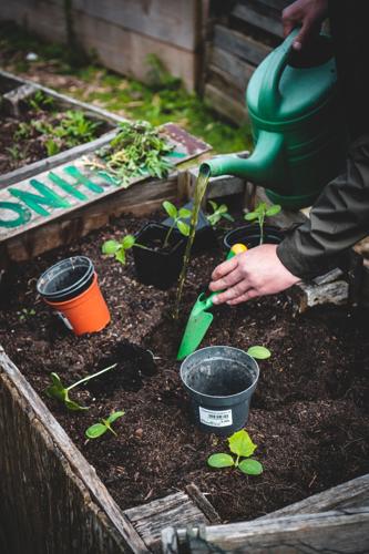 Pocatello breaks ground on its first community garden Friday | Local ...