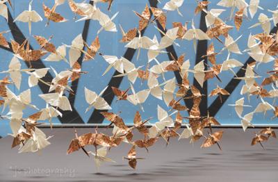 Pocatello Regional Airport unveils origami art display | Community ...