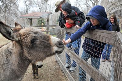 Opening day highlights what's new at Zoo Idaho | Local ...