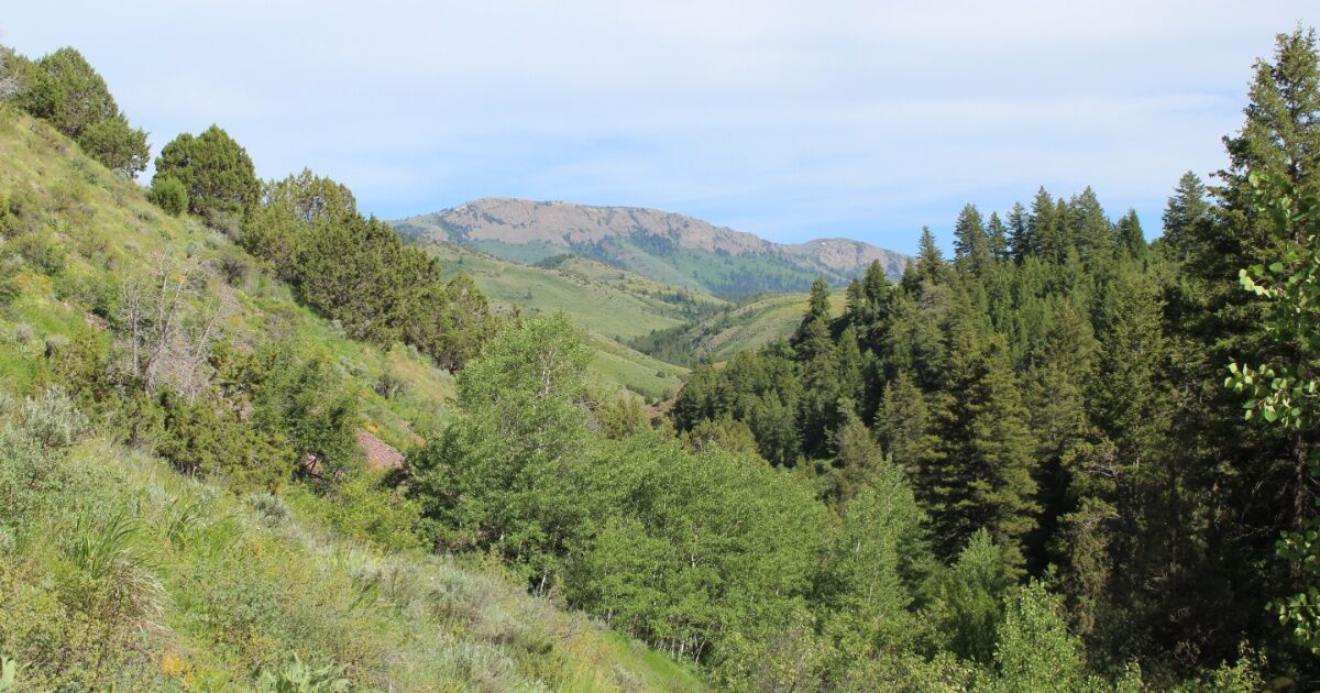 Pocatello area public lands among 250 million acres at risk under 'One ...