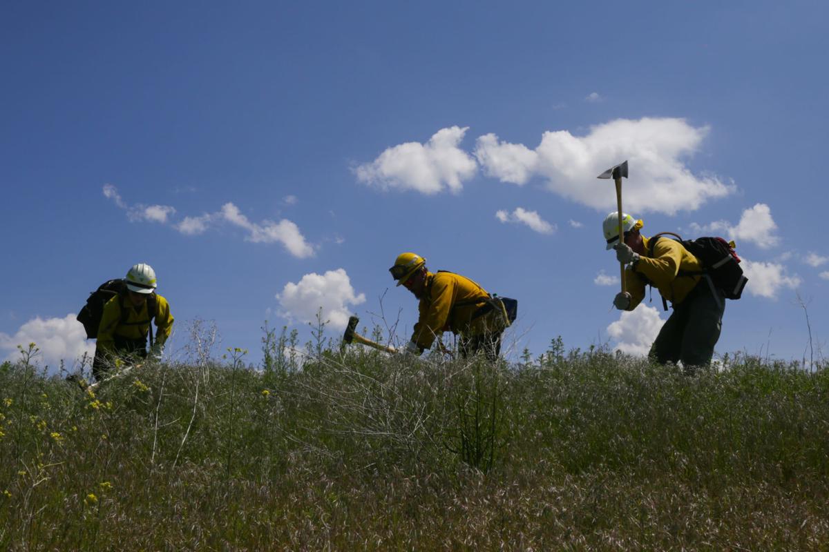 BLM firefighters build trails as they prepare for season | Local ...