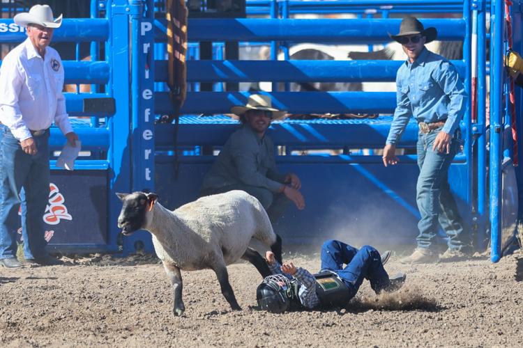 Photos of the Blackfoot Ranch Rodeo and Indian Relay Races | Local ...
