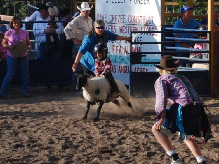 Little Buckaroo Rodeo set Aug. 1 and 2 | Members | idahostatejournal.com
