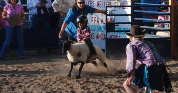 Little Buckaroo Rodeo set Aug. 1 and 2 | Members | idahostatejournal.com