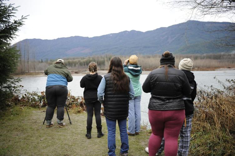 Skagit River Bald Eagle Interpretive Center with new coordinator ...