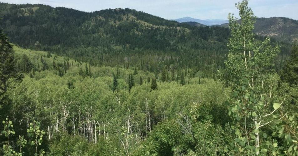 Montpelier Ranger District continues prescribed fire operations in ...