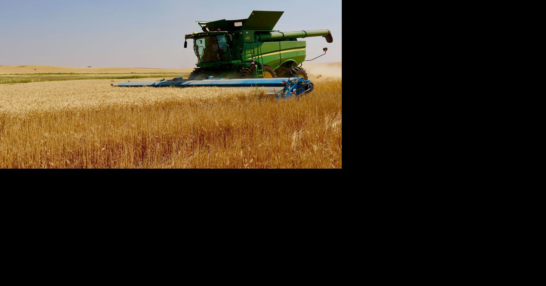 'Miracles' giving LDS Church-owned farms abundant crops during epic ...