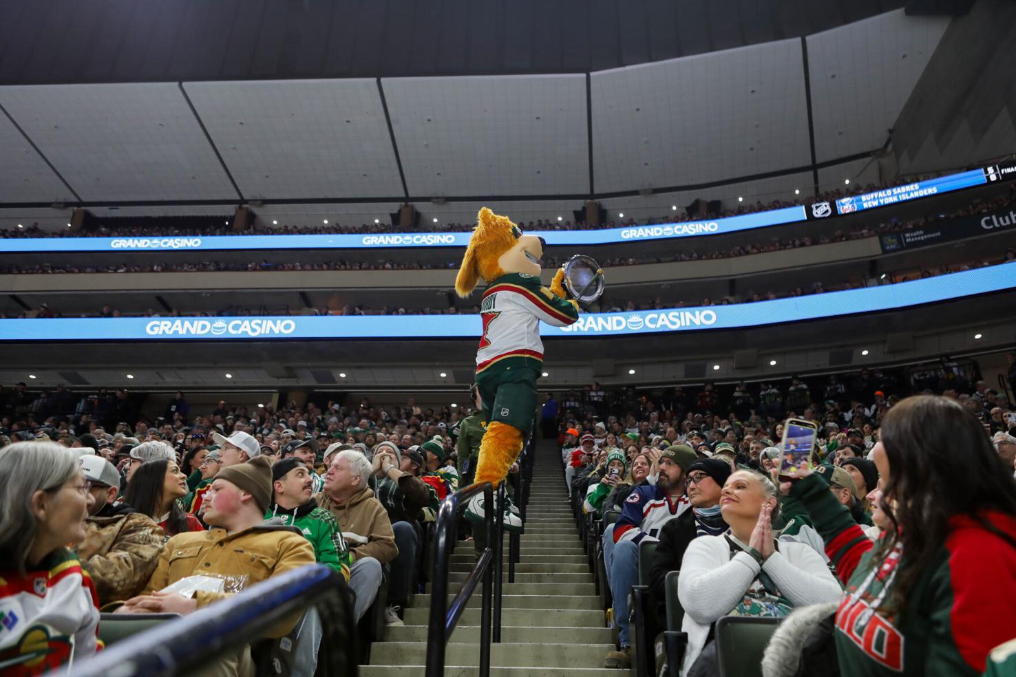 Wild Panthers Hockey | National | idahostatejournal.com