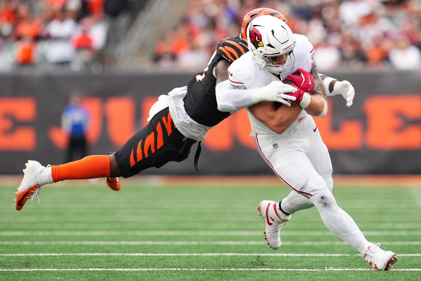 Cardinals Bengals Football | National | idahostatejournal.com