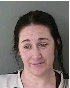 Police: Woman broke into house, pretended to be cleaning lady | Local ...
