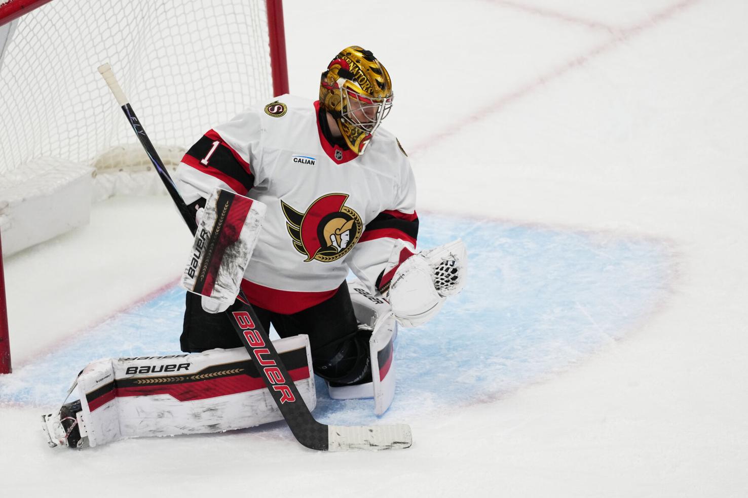 Senators Avalanche Hockey | National | idahostatejournal.com