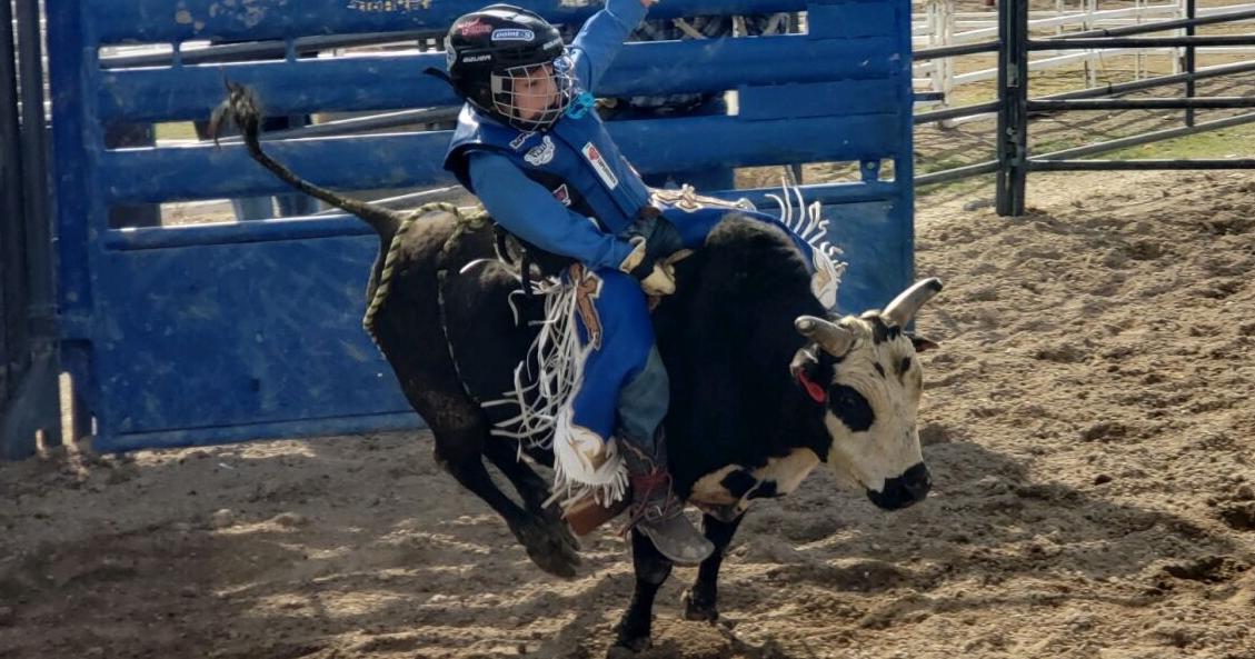 TINY TERRORS: Mini bucking bulls give young riders entertaining and ...