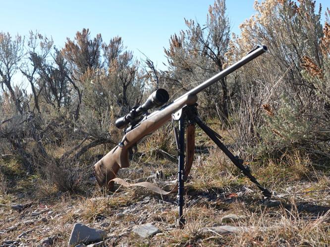 Reflecting on my Winchester Model 70 rifle | Commentary ...