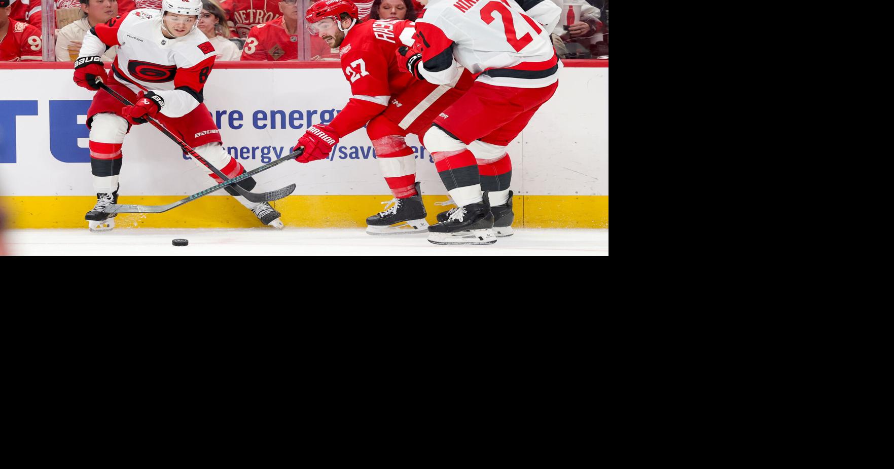 Hurricanes Red Wings Hockey | National | idahostatejournal.com