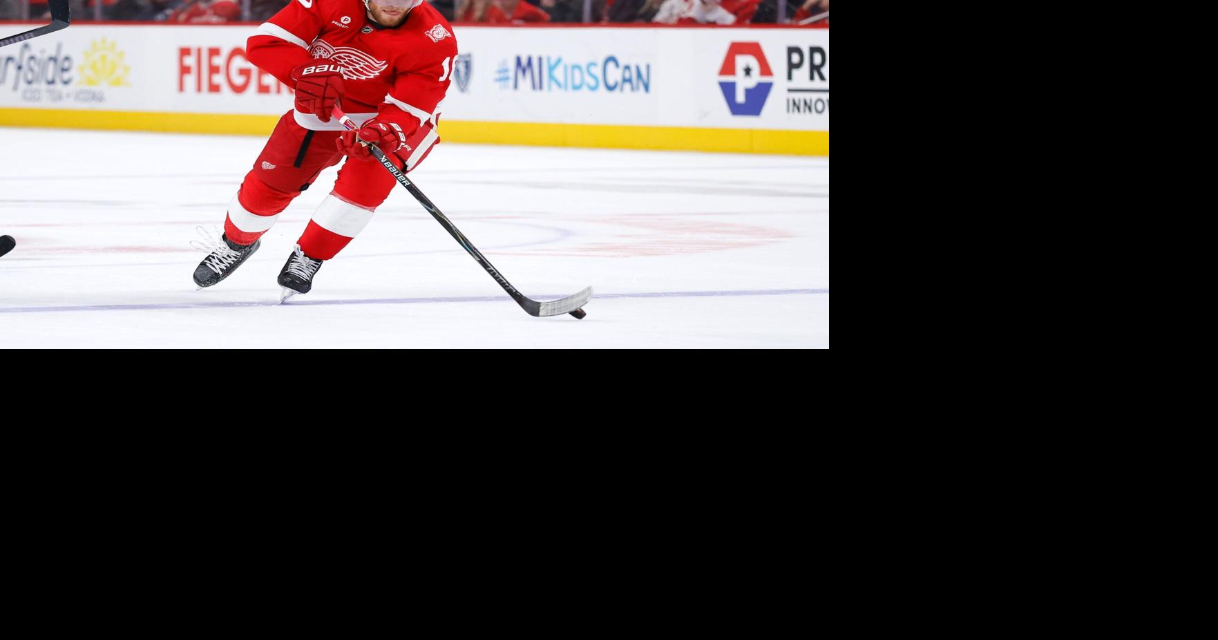 Sharks Red Wings Hockey | National | idahostatejournal.com