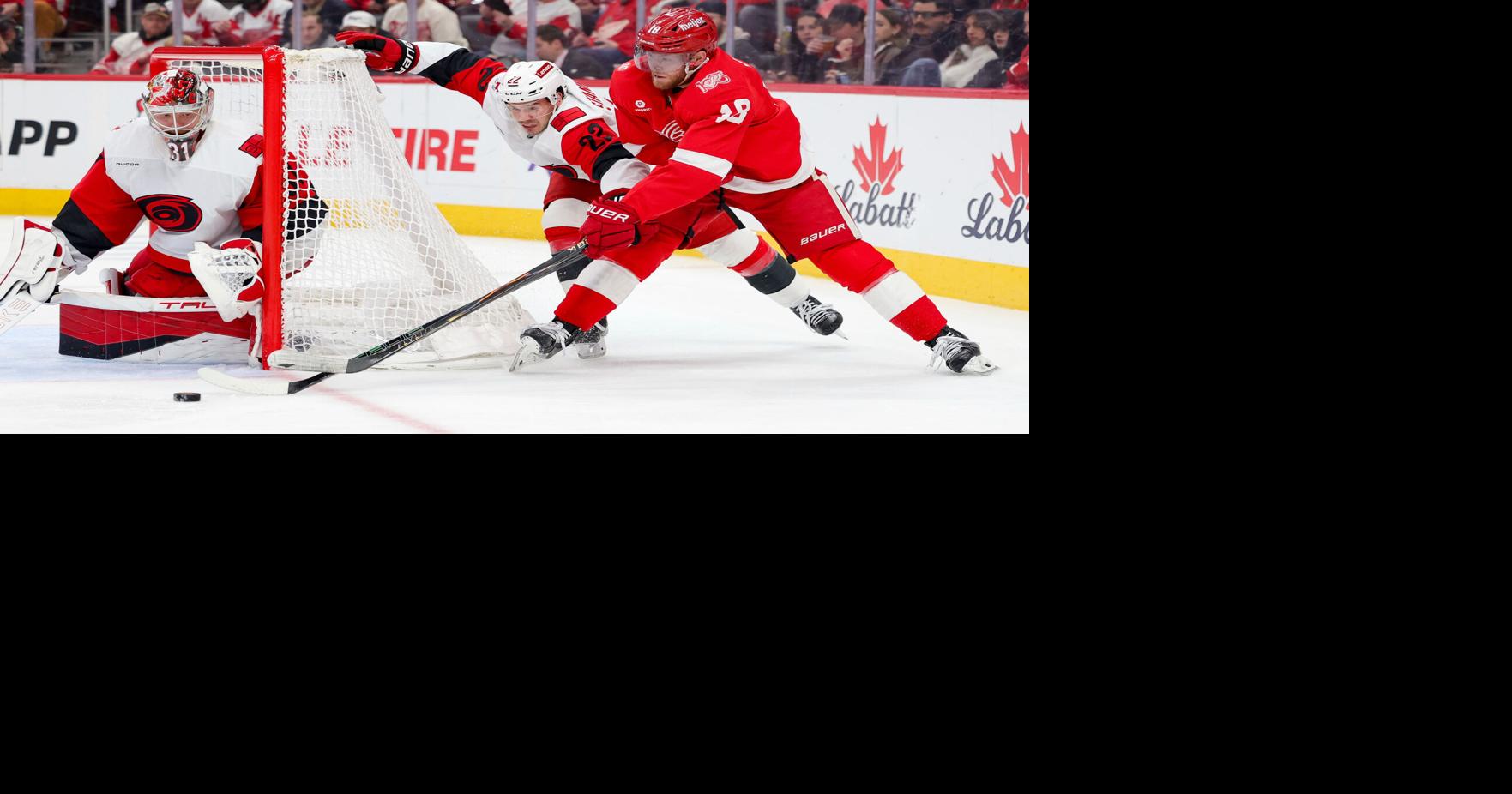 Hurricanes Red Wings Hockey | National | idahostatejournal.com