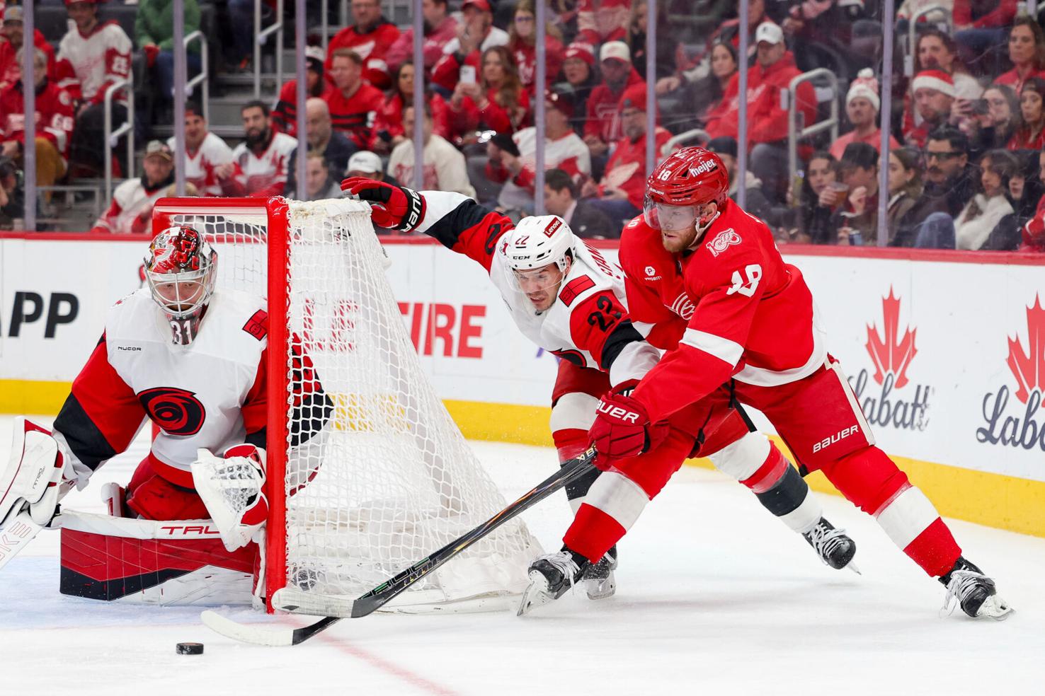 Hurricanes Red Wings Hockey | National | idahostatejournal.com