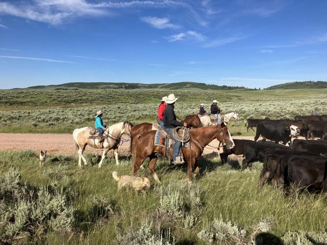 Debbie Reid-Oleson continuing her pioneer family's ranching tradition ...