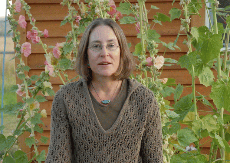 Ashton/Island Park Ranger District welcomes new District Ranger | State ...