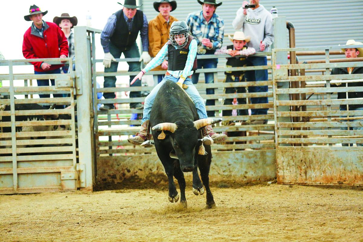 Cowgirl Up: 12-year-old girl tackles bull riding at Bannock County ...