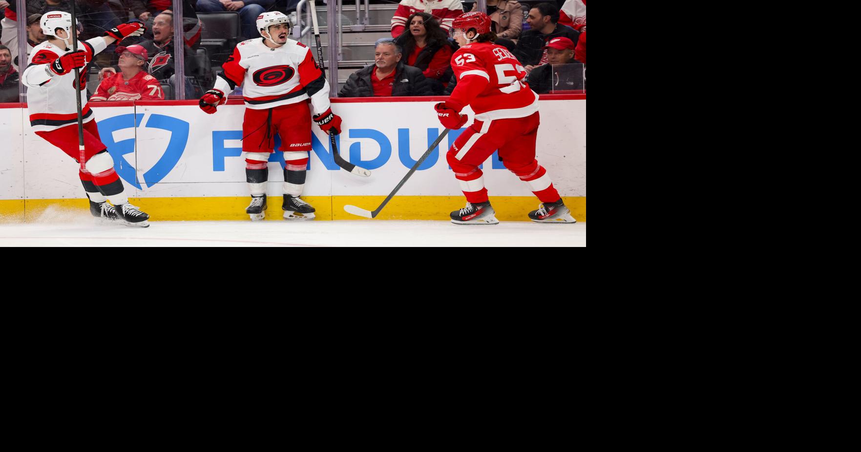 Hurricanes Red Wings Hockey | National | idahostatejournal.com