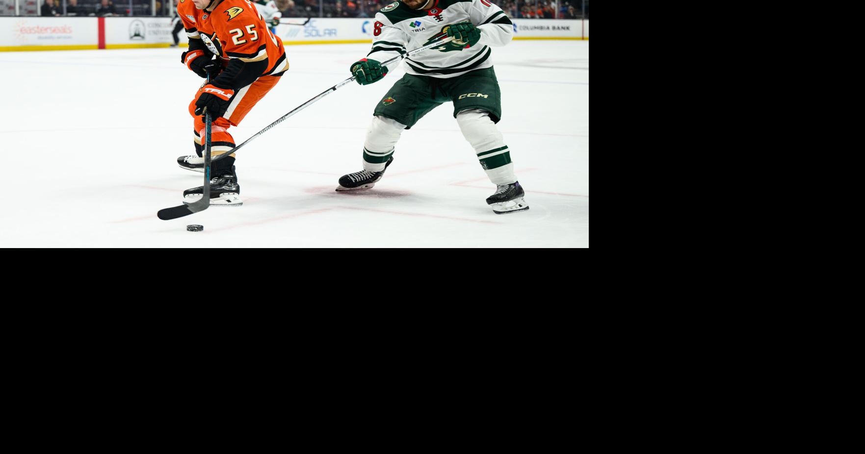 Wild Ducks Hockey | National | idahostatejournal.com