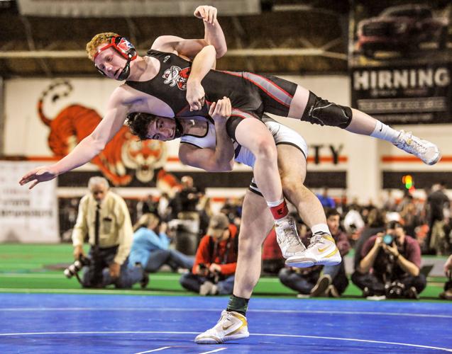 2018-19 All-Area Wrestling teams | Preps | idahostatejournal.com