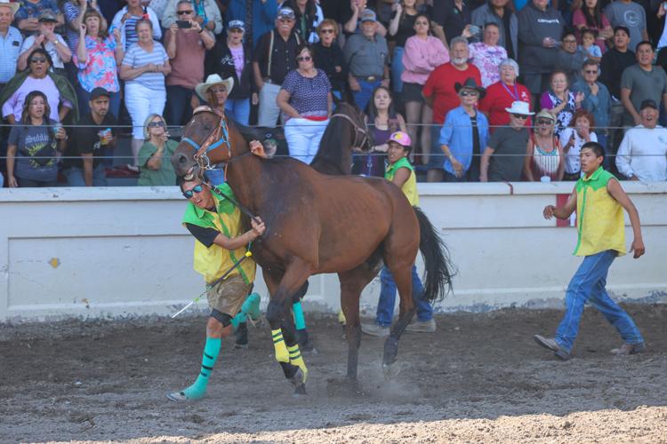 Photos of the Indian relay races at the Eastern Idaho State Fair in ...