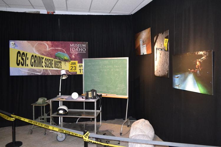 Crime Scene Insects: New exhibit at Museum of Idaho teaches how bugs ...