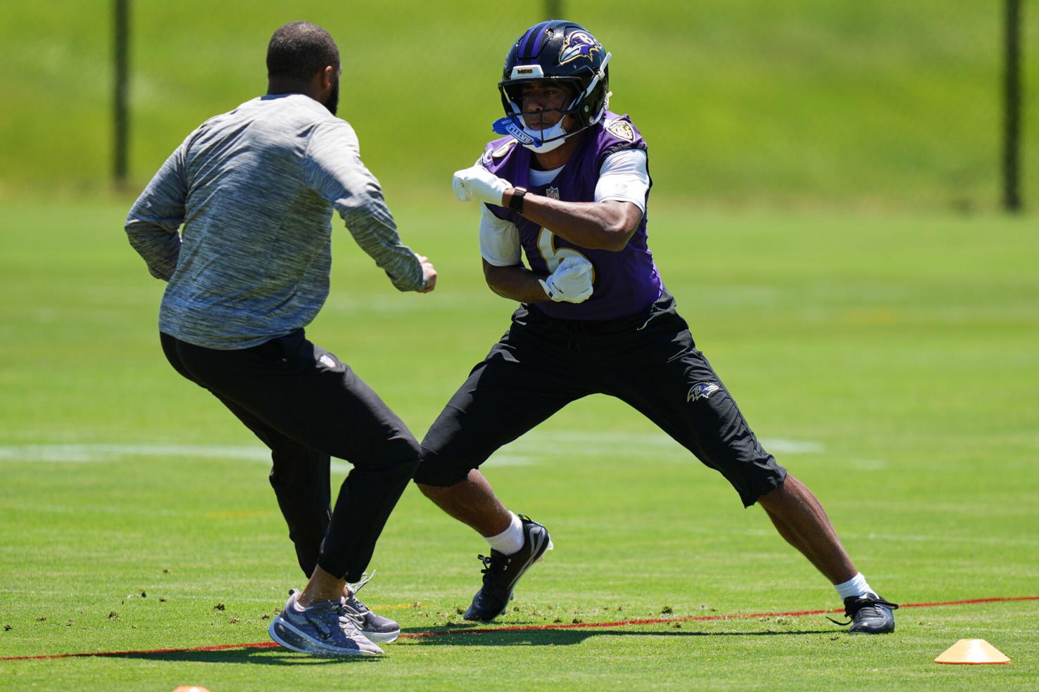 Ravens Football | National | idahostatejournal.com