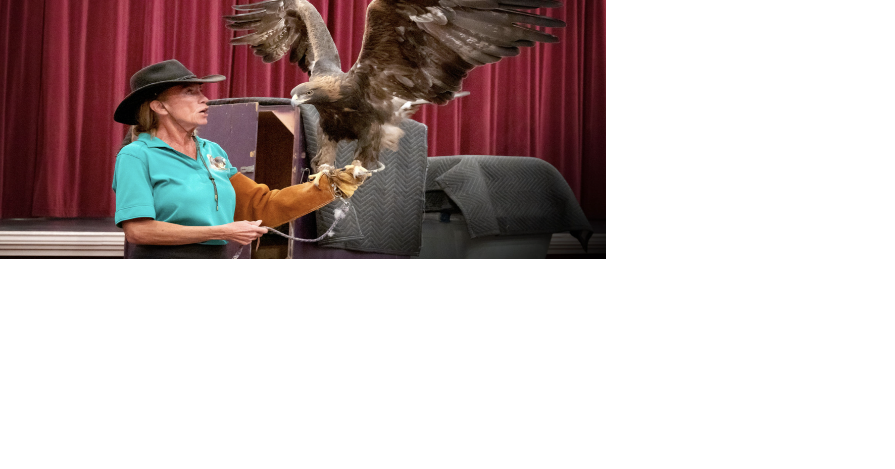 Birds of Prey Northwest brings raptor education program to Grace School ...