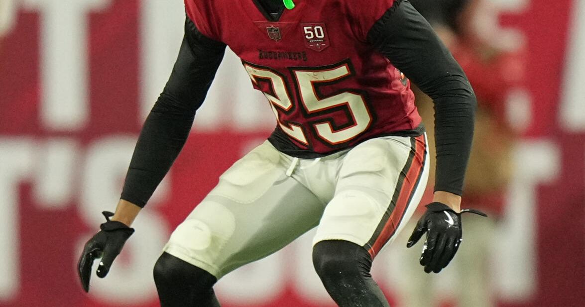 Panthers Buccaneers Football | National | idahostatejournal.com