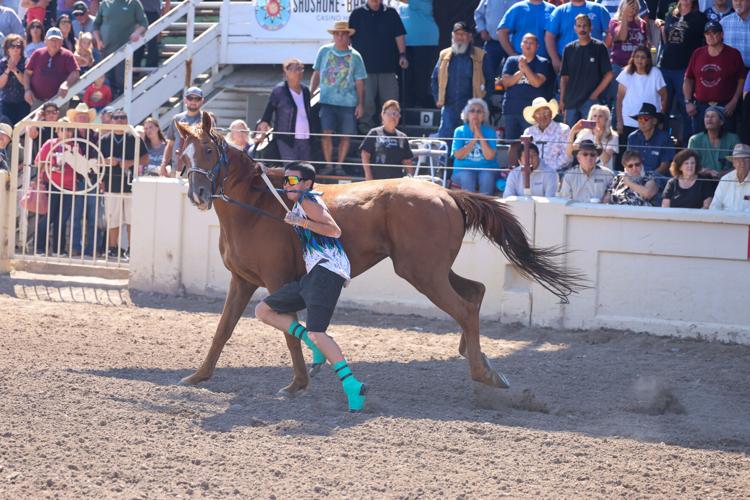 Photos of the Indian relay races at the Eastern Idaho State Fair in ...