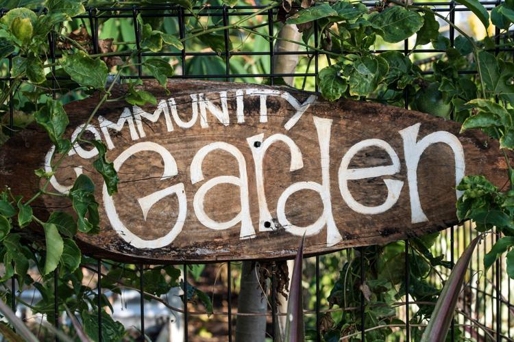 Pocatello breaks ground on its first community garden Friday | Local ...