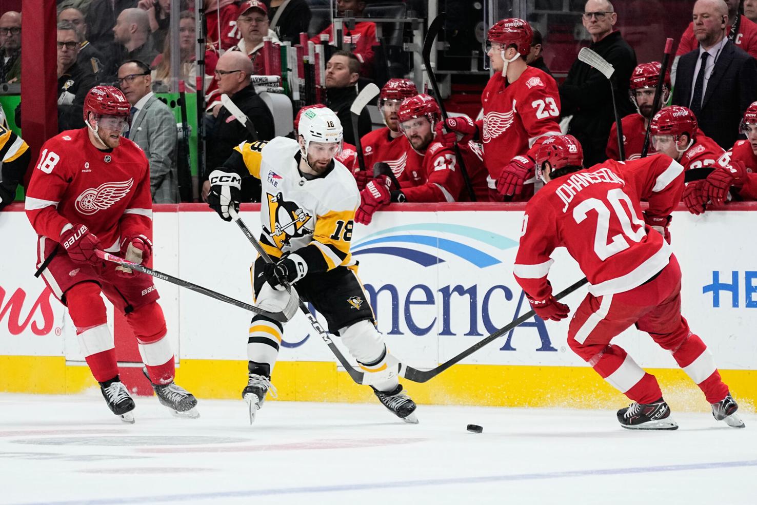 Penguins Red Wings Hockey | National | idahostatejournal.com