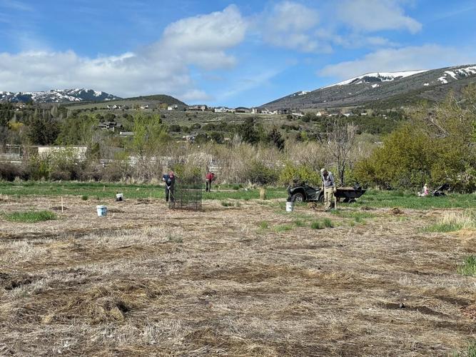 Edson Fichter Nature Area receives Ifft Grant for habitat improvements ...