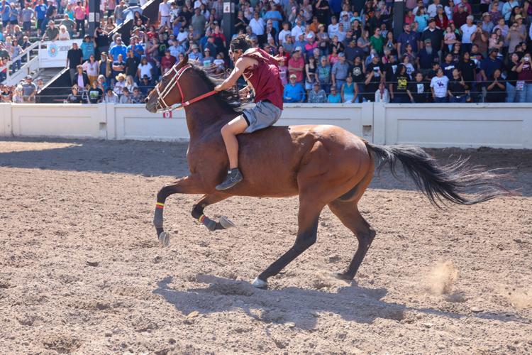 Photos of the Indian relay races at the Eastern Idaho State Fair in ...
