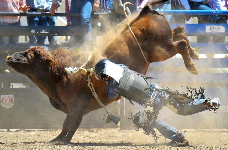 Idaho High School Rodeo Finals Thursday | Gallery | idahostatejournal.com