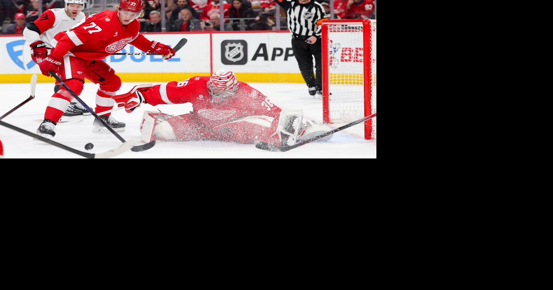 Hurricanes Red Wings Hockey | National | idahostatejournal.com