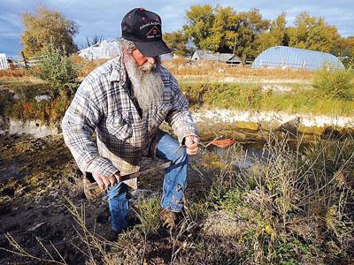 County puts bounty on gophers | Local | idahostatejournal.com