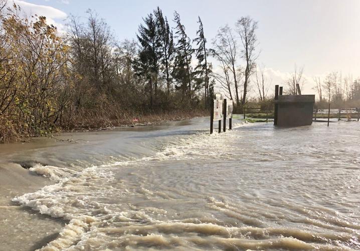 Dike work begins at Skagit Wildlife Area Headquarters Unit | Northwest ...