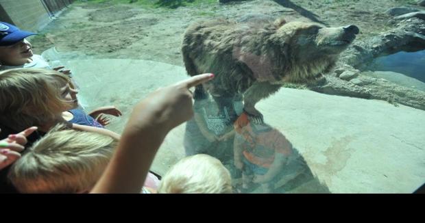 Pocatello Zoo to receive $1,000 donation for new bear exhibit | Local ...