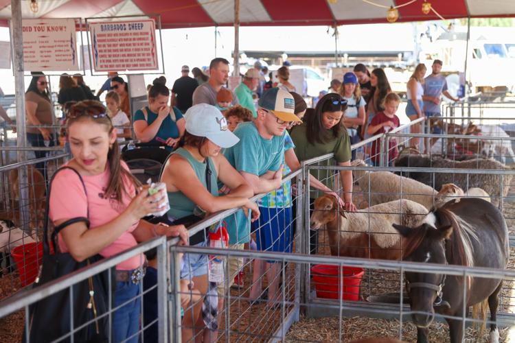 Photos of the 2023 Eastern Idaho State Fair | Freeaccess ...