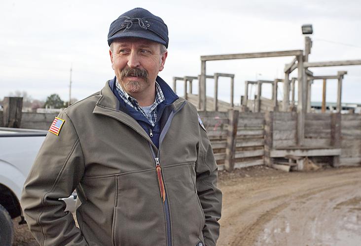 ISP's livestock brand inspectors track millions of cattle yearly ...