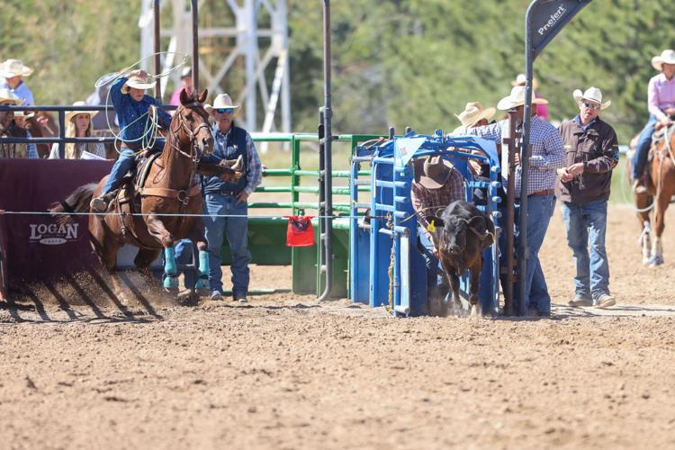 Photos of the Jr. High State Rodeo at the Bannock County Event Center ...