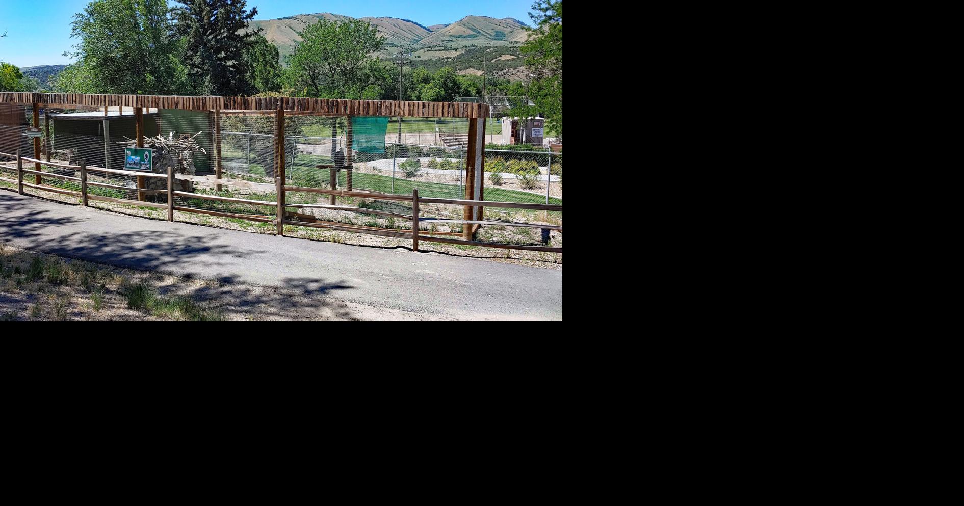 Pocatello City Council approves 20-year Zoo Idaho plan | Local ...