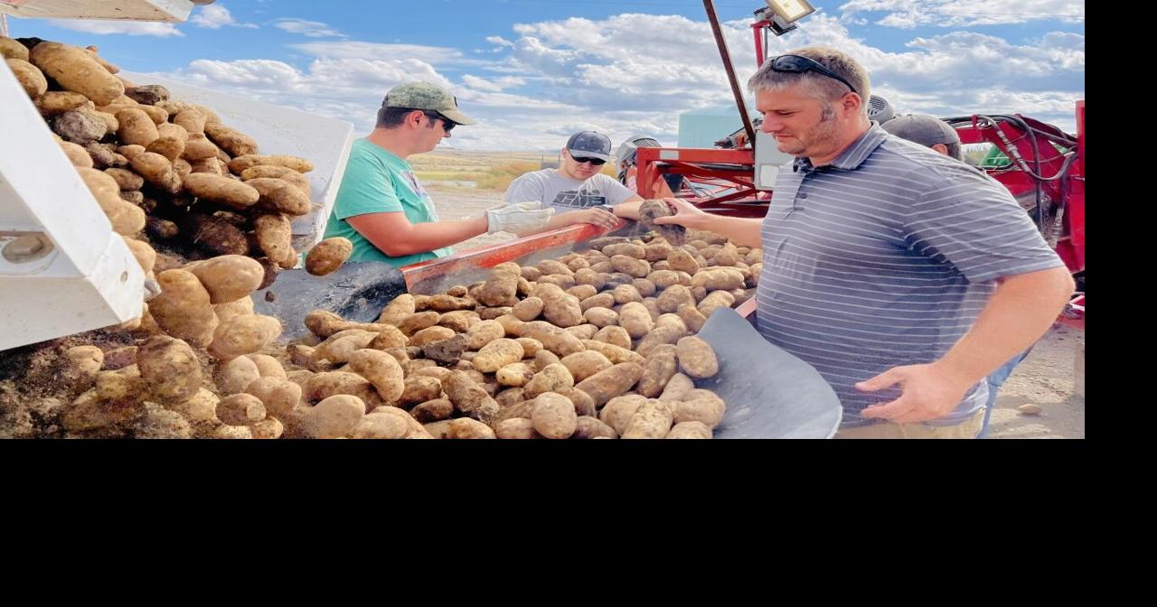Local farm donates 10 million pounds of potatoes to those in need ...