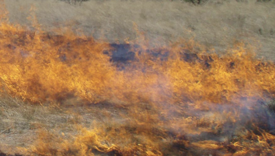 Quick response by Pocatello firefighters stops brush fire before it ...