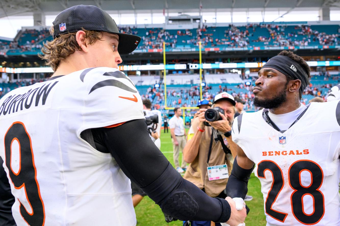 Bengals Dolphins Football | National | idahostatejournal.com